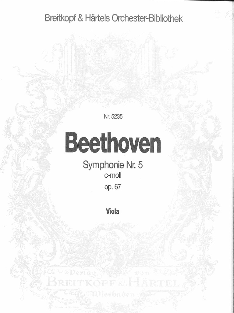 Viola 2 | PDF