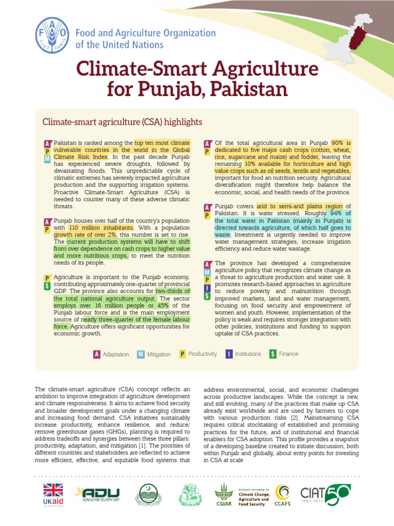 CSA _Profile_Punjab | PDF | Agriculture | Food Security