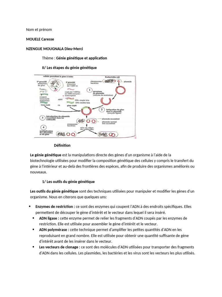Introduction au génie génétique | PDF | Gène | Génie génétique
