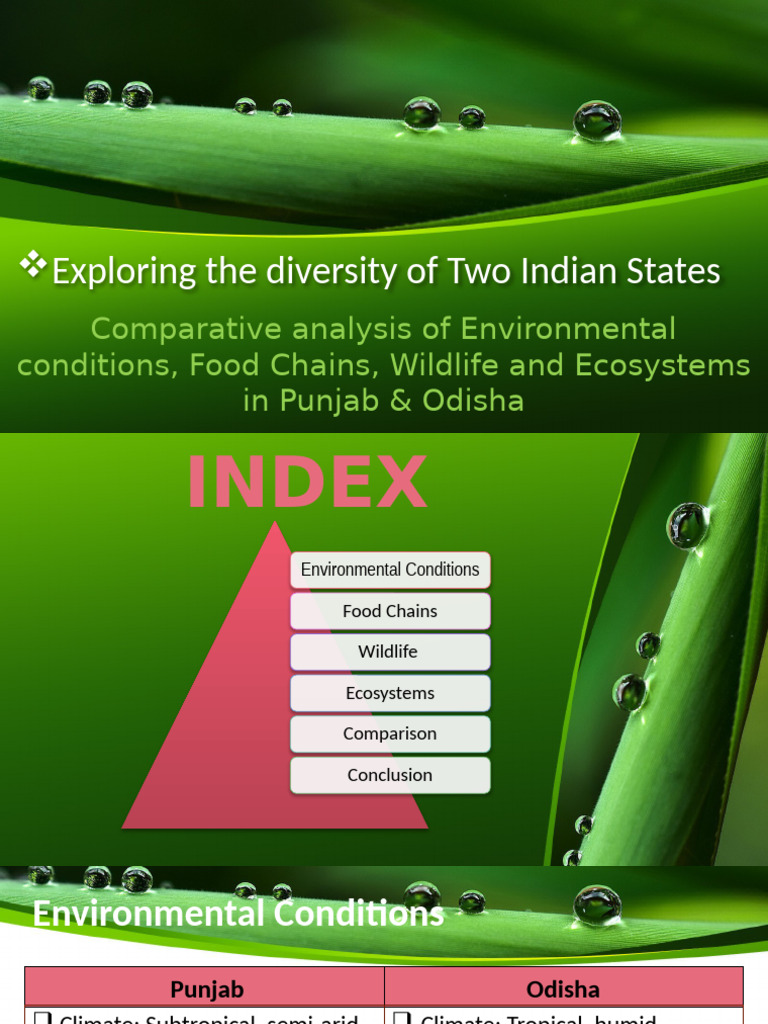 Green Template 16x9 | PDF | Peafowl | Foods