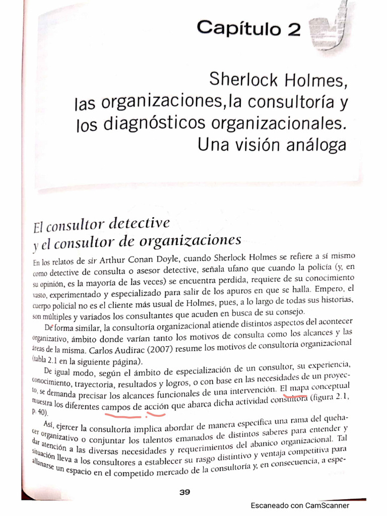 Sherlock Holmes, Las Organizaciones, La Consultoría y Los Diagnósticos ...