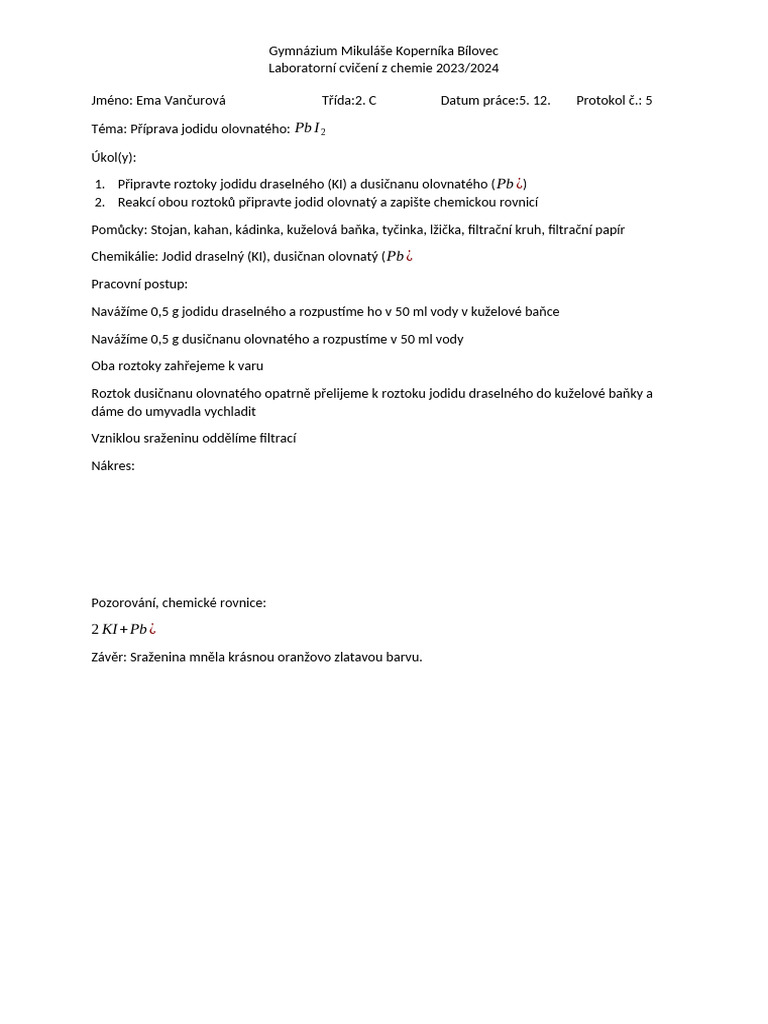 Protokol | PDF