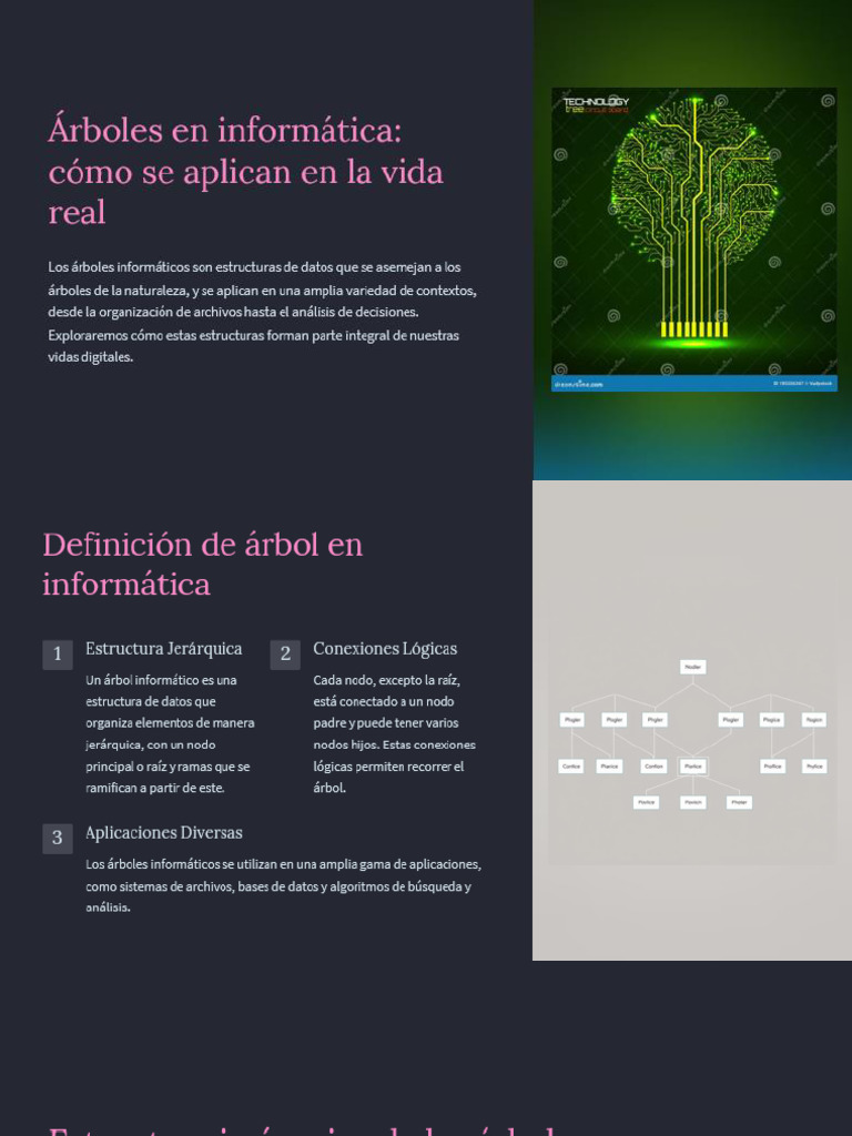 Arbol Maria Guadalupe Bolaños G | PDF