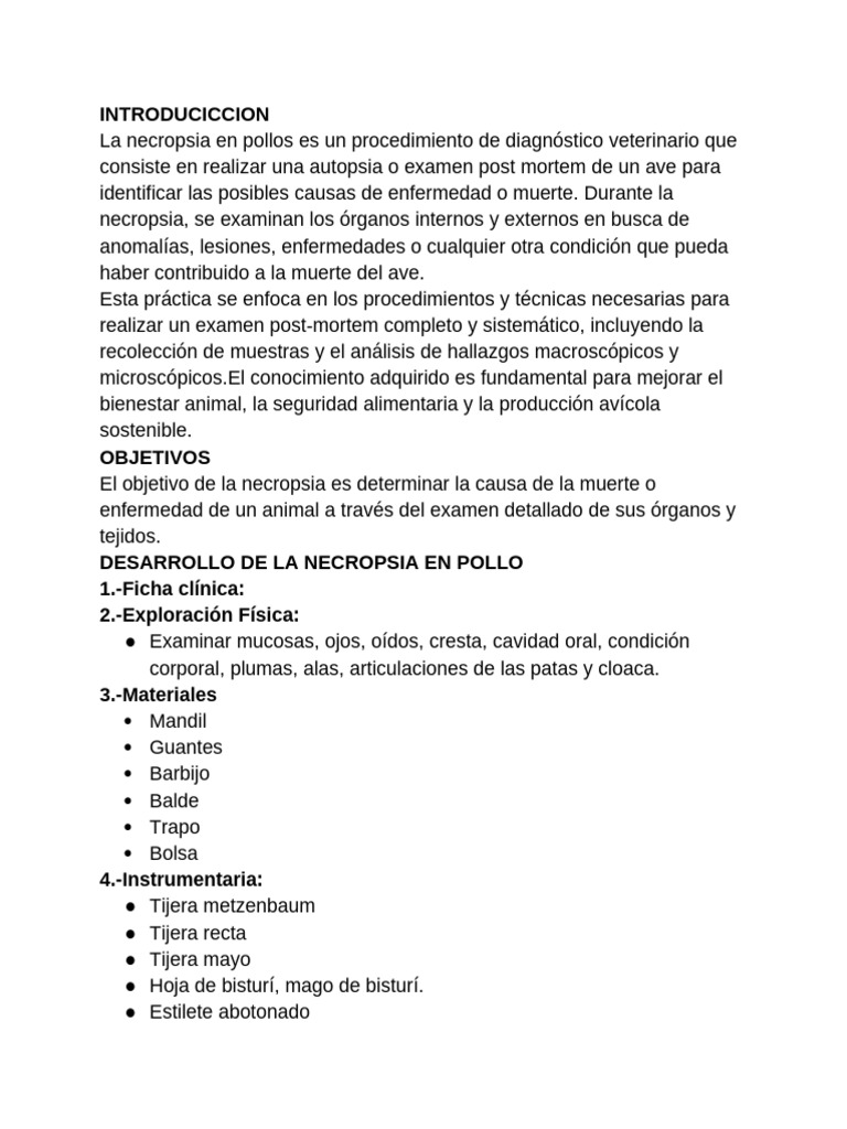 Necropsia - ) | PDF | Abdomen | Sistema digestivo humano
