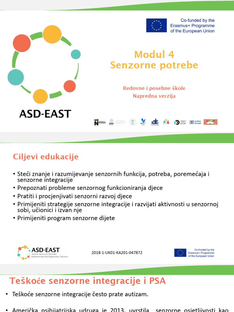 IO3 Autism-Teacher-Training-Materials Module 4 Sensory-Needs ADVANCED ...