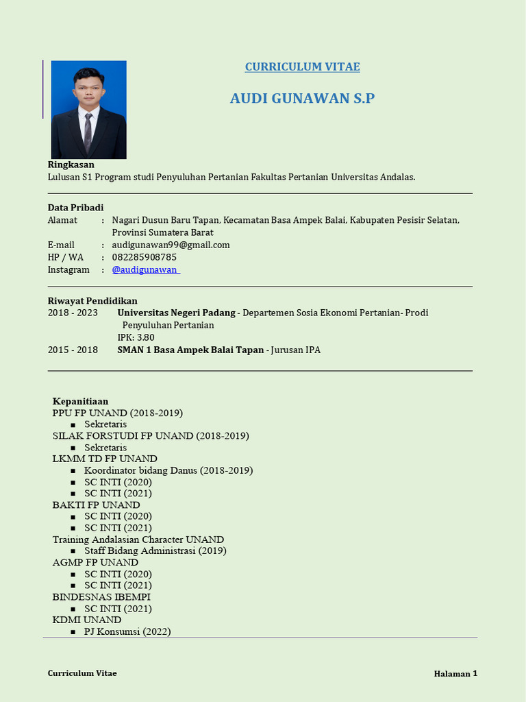 CV Audi Gunawan S.P. | PDF | Sains & Matematika