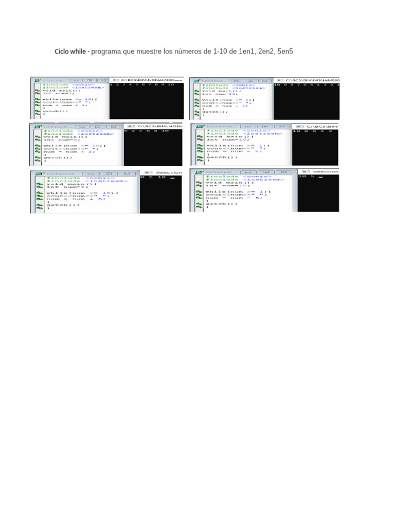 Ciclo while | PDF