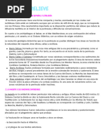 Área Silícea | PDF | Ciencias de la Tierra | Geomorfología