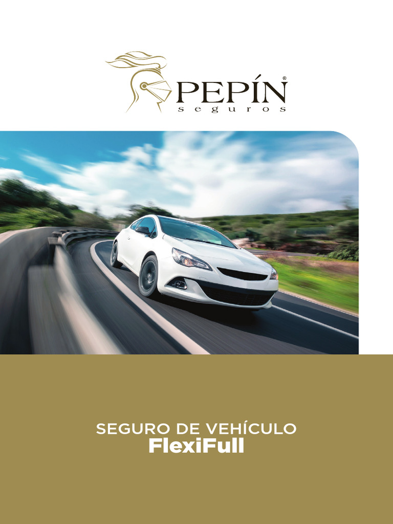 Seguro FlexiFull Vehiculo Seguros Pepin | PDF | Negocios | Derecho