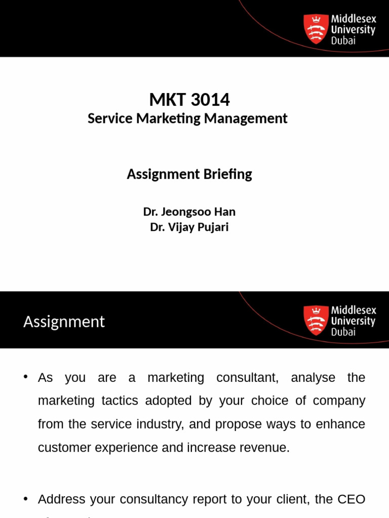 2024-25 MKT3014 - Assignment Briefing | PDF | Marketing | Human Communication