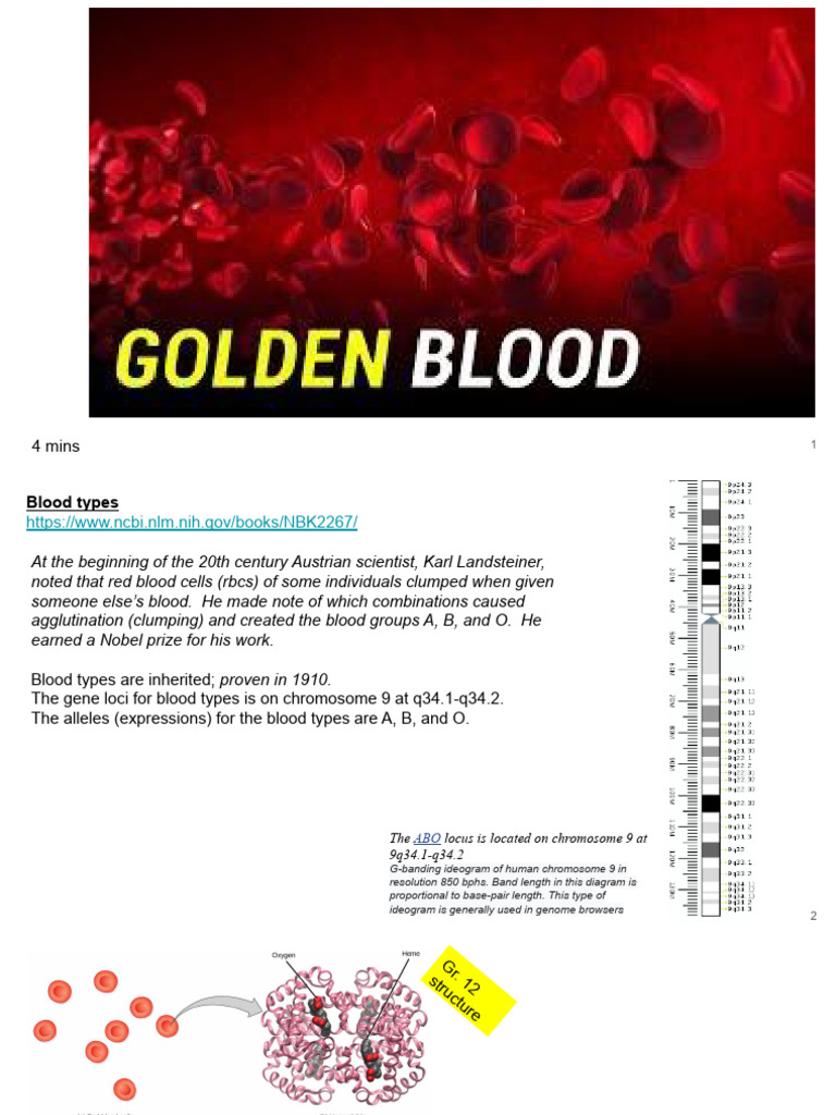 Blood Types | PDF | Blood Type | Genotype