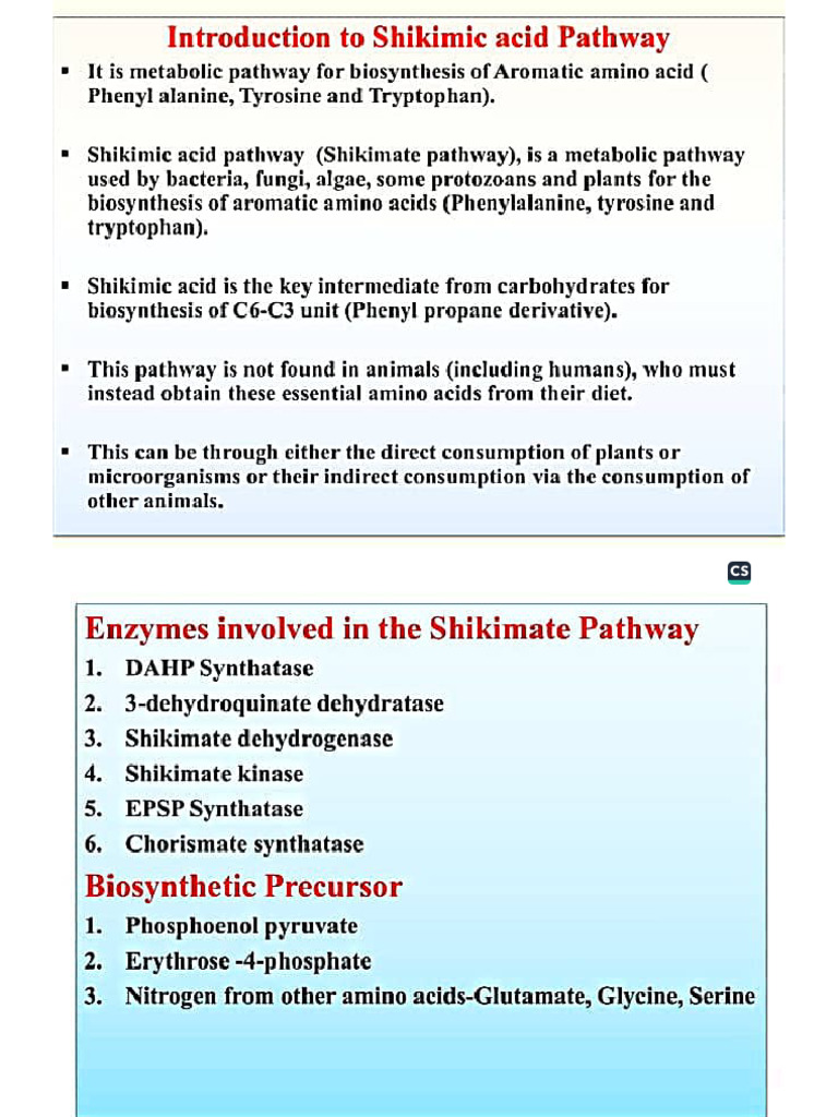Pathway | PDF