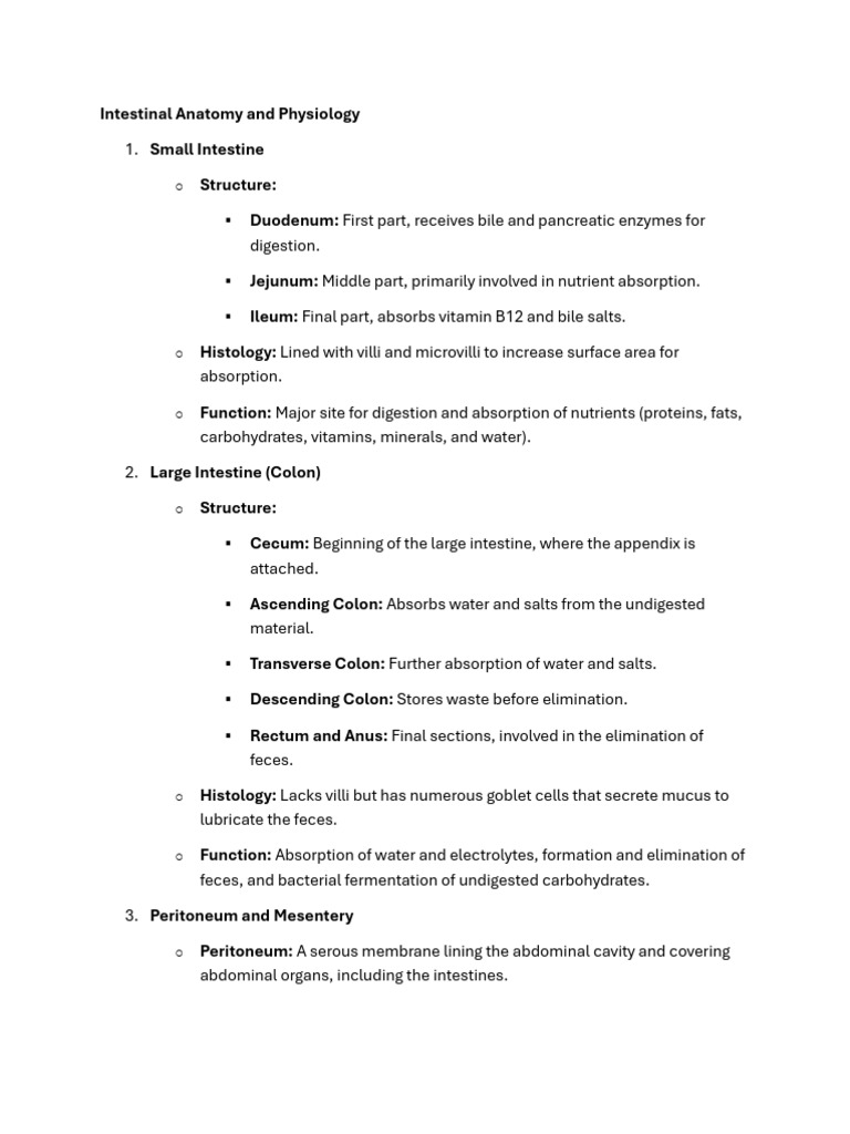 Intestinal Lumen: Anatomy and Functions | PDF | Small Intestine | Large ...