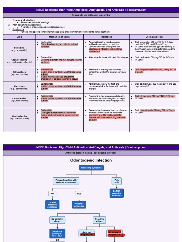 INBDE High-Yield Antibiotics | PDF | Heart | Congenital Heart Defect