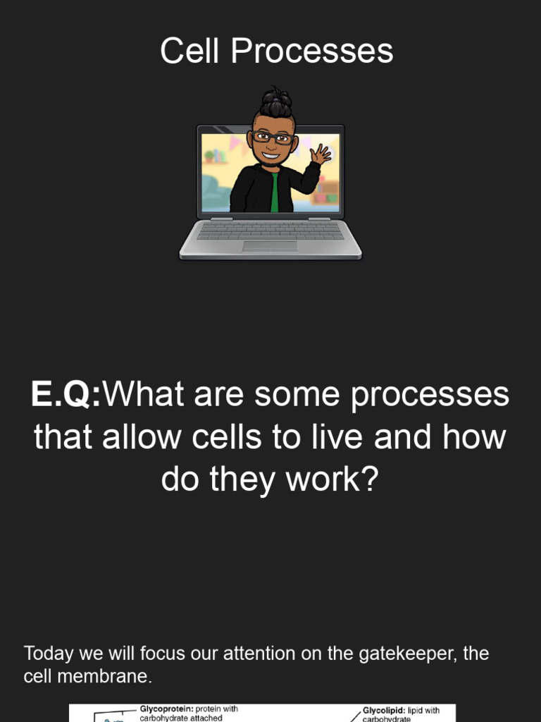 Diffusion, Osmosis, and Cell Division | PDF | Cell (Biology) | Osmosis