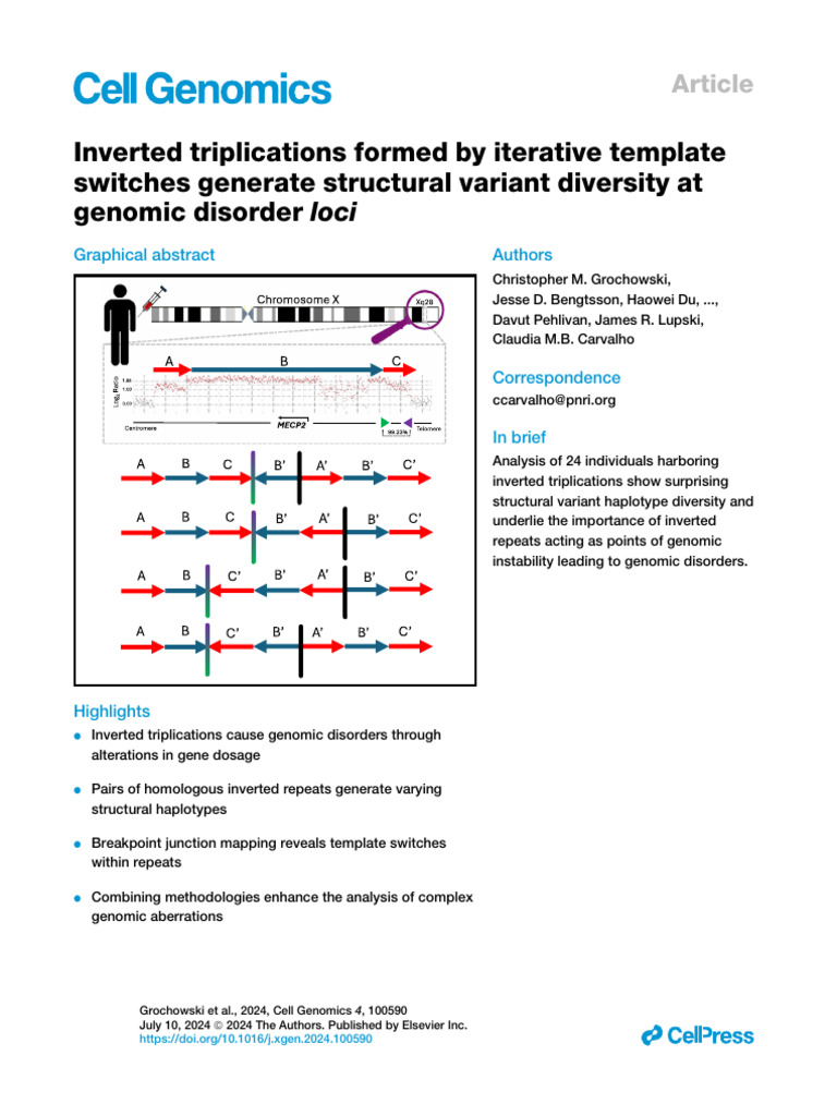 Inverted Triplications Formed by Iterative Template Switches Generate ...