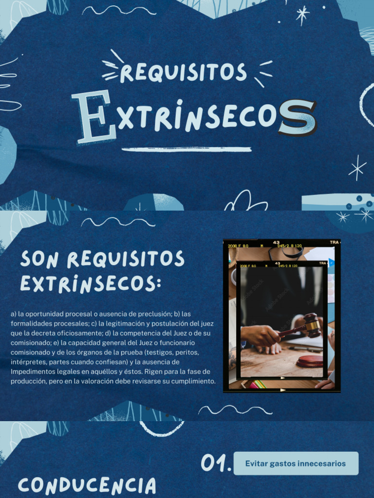 Presentación Requisitos Extrinsecos | PDF