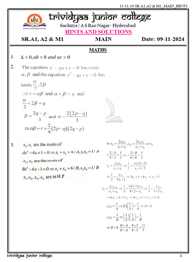 Maths Hints & Solutions 2024 | PDF