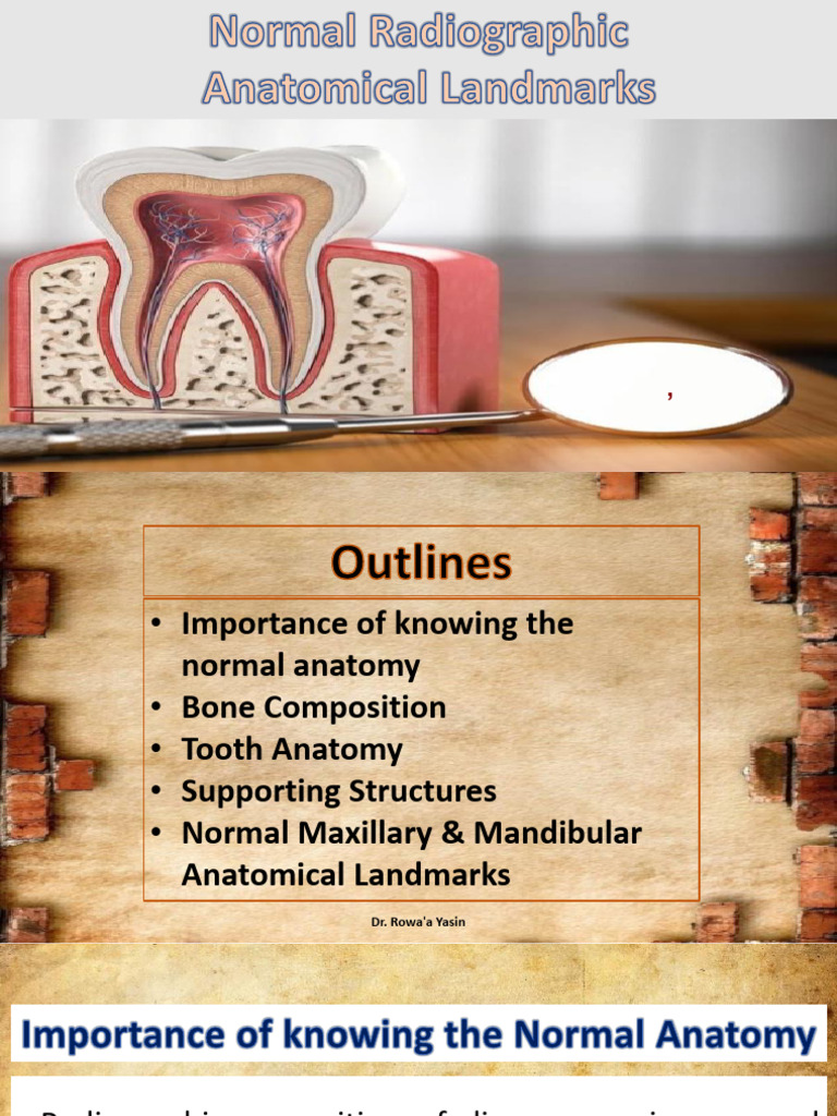 Normal Radiographic Anatomical Landmarks | PDF | Human Tooth | Human Nose