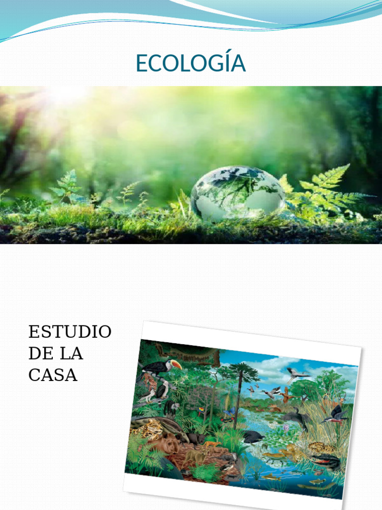 Conceptos Clave de Ecología y Climatología | PDF | Meteorología | Clima