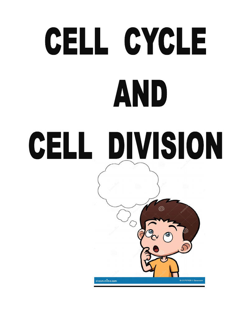 Cell Cycle Cell Division | PDF