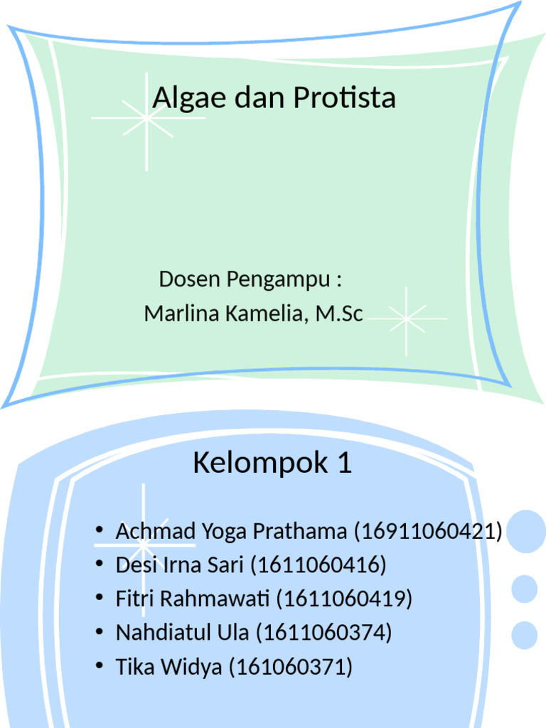 Algae Dan Protista New (Klasifikasi Punya Ka Tika Belum Ada) | PDF