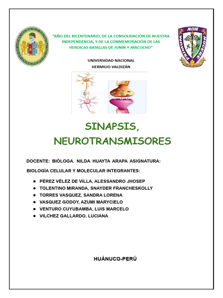 Sinapsis y Neurotransmisores | PDF | Sinapsis | Unión neuromuscular