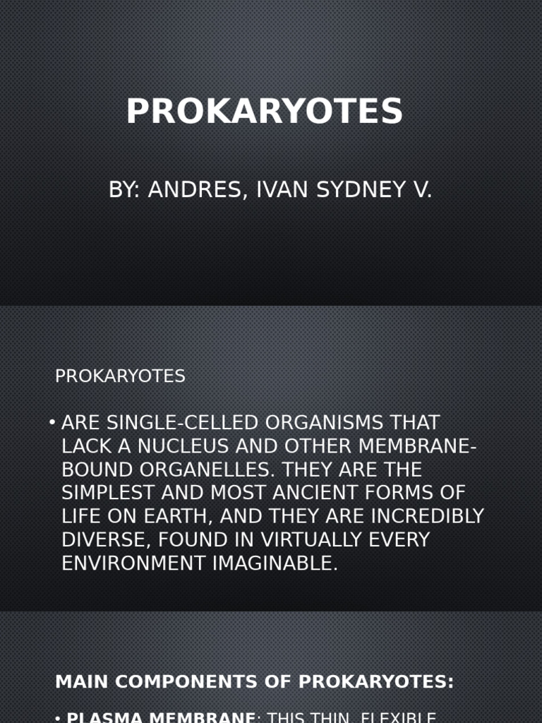 Overview of Prokaryotes and Their Roles | PDF