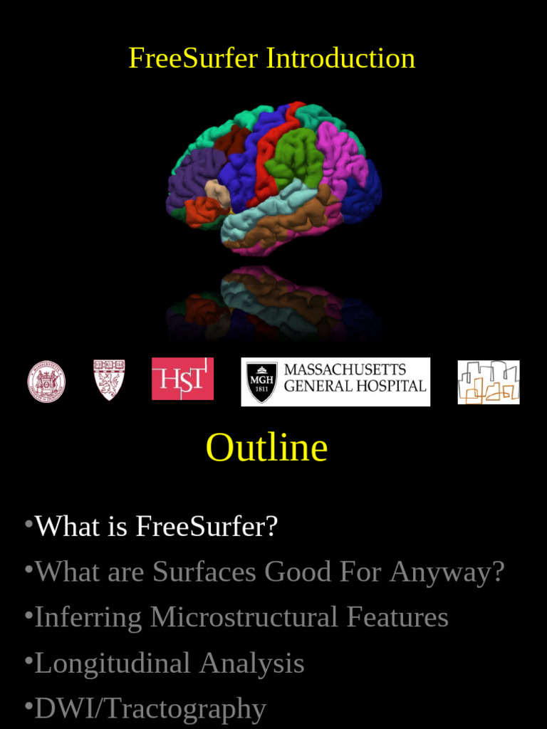 FreeSurfer: Neuroimaging Analysis Guide | PDF | Cerebral Cortex | Visual Cortex