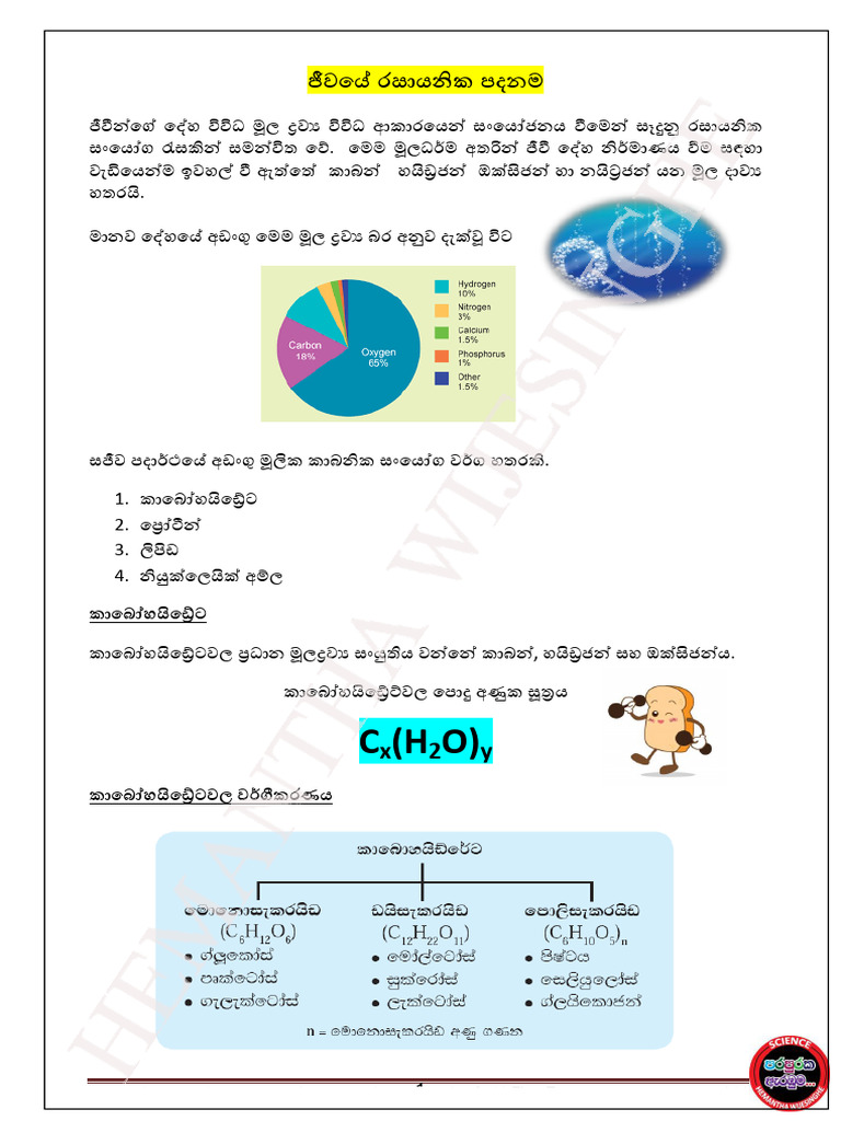 Thoery Tute | PDF