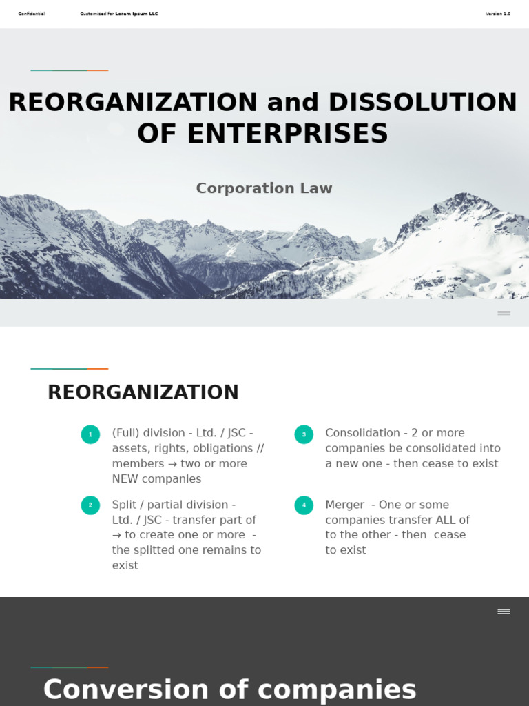 7 Reorganization | PDF | Joint Stock Company | Debt