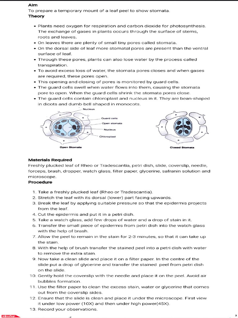 Class 10 Biology Practical | PDF | Seed | Cellular Respiration