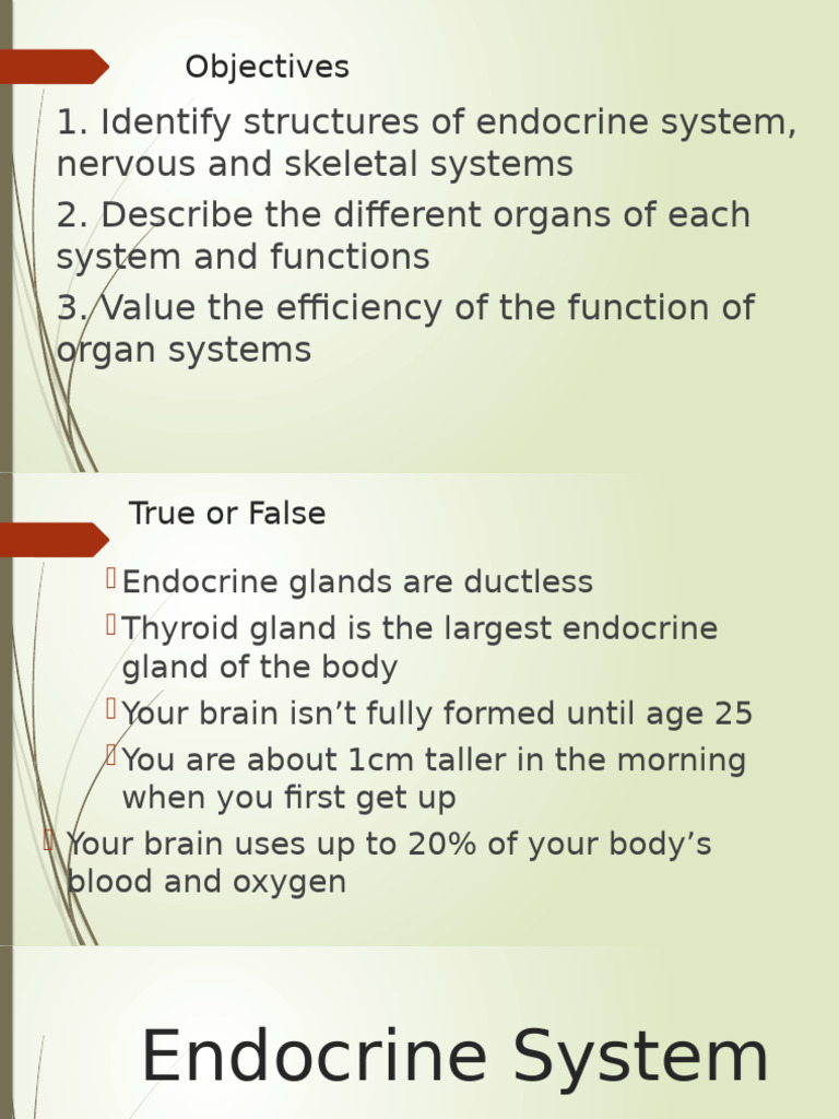 Endocrine System | PDF | Endocrine System | Human Body