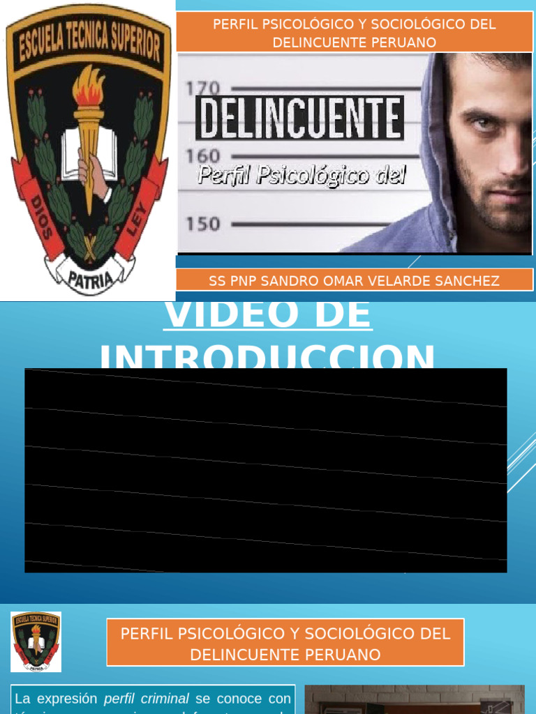 Perfil Criminal del Delincuente Peruano | PDF | Sicología | Crímenes