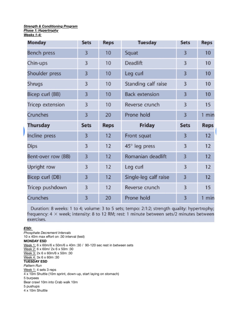 Rugby Sprint Training Program | PDF | Strength Training | Physical Fitness