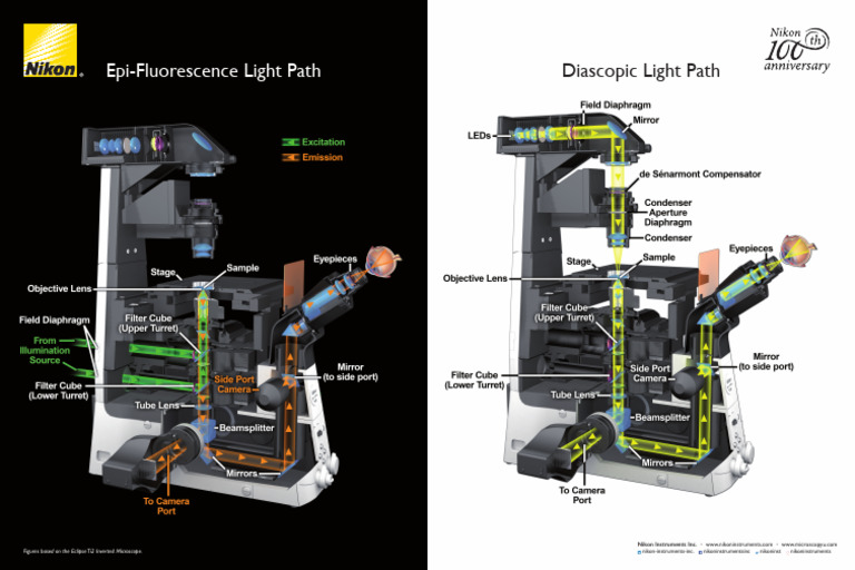 Nikon Eclipse Ti2 Microscope Light Paths | PDF | Science & Mathematics ...