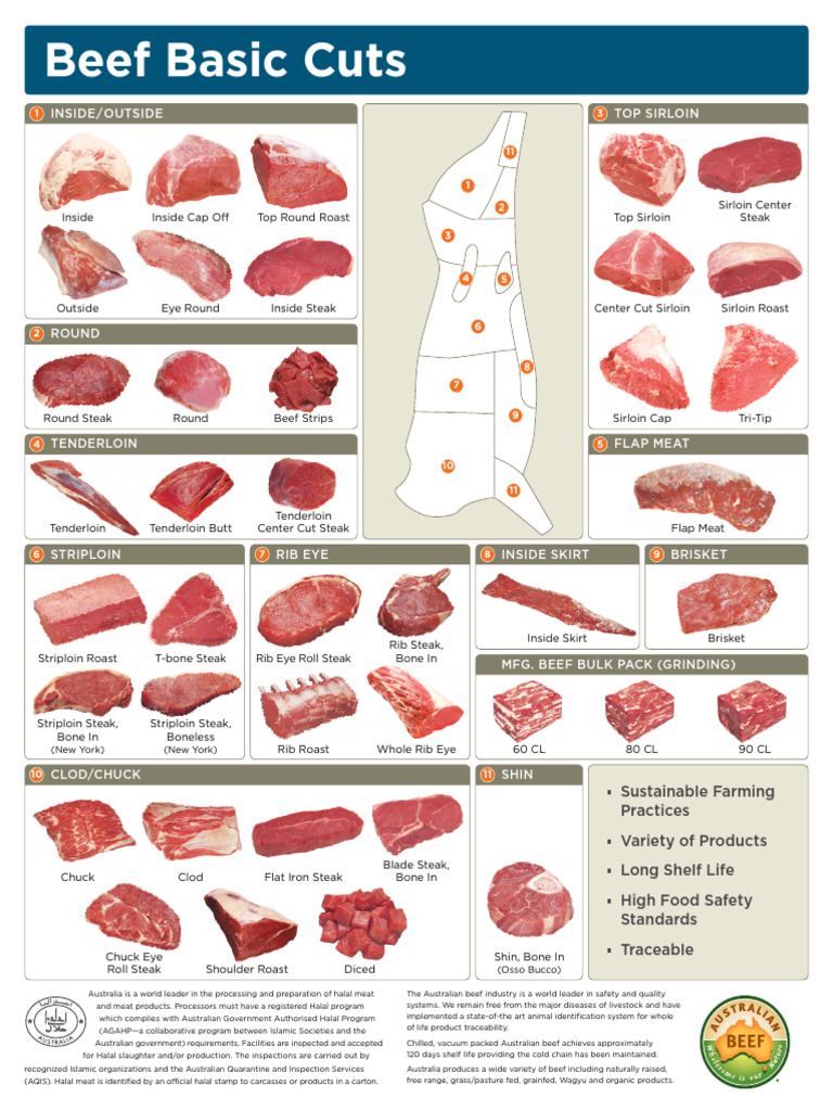 Beef_Cut_Chart | PDF | Steak | Chuck Steak