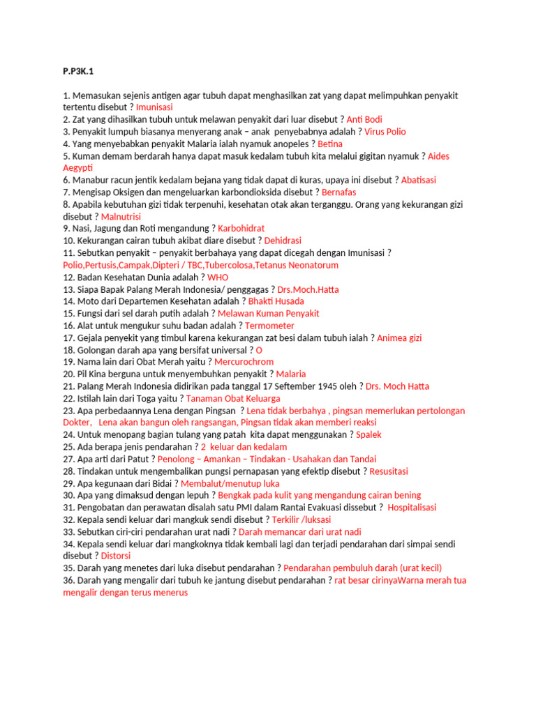 Materi p3k 2023 | PDF