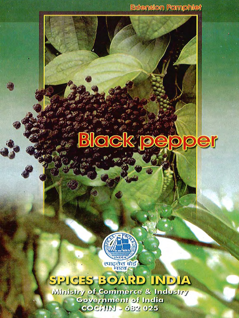 Black Pepper Feb-2009 | PDF
