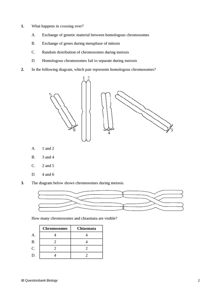 Exit Ticket 3.3 | PDF | Meiosis | Chromosome