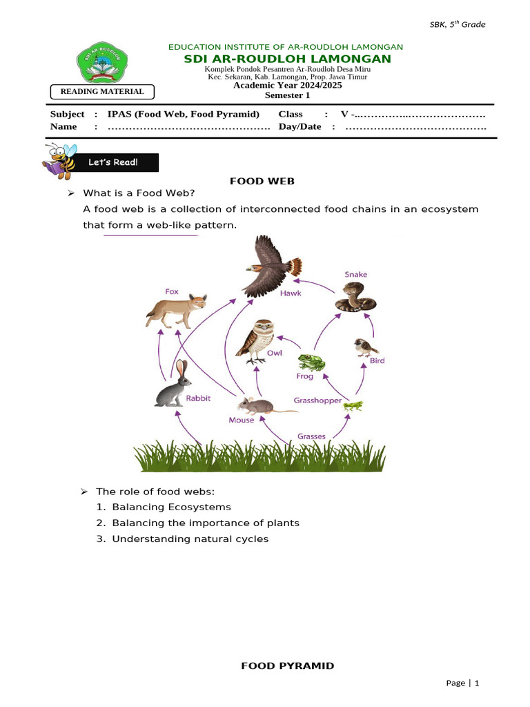 5. RM FOOD WEB | PDF | Food Web | Systems Ecology