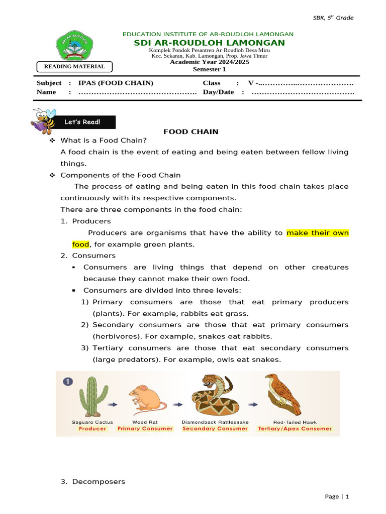 RM Food Chain | PDF