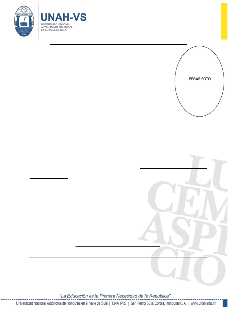 CVN Licenciada en Informatica Administrativa | PDF