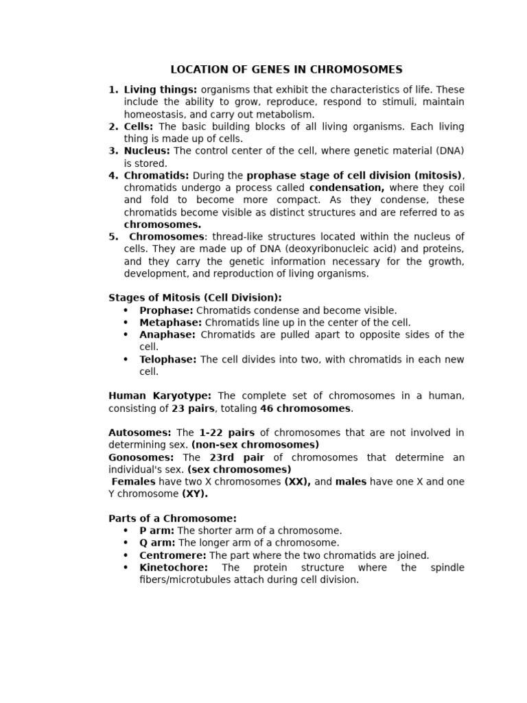 Location of Genes in Chromosomes Notes | PDF | Chromosome | Dna
