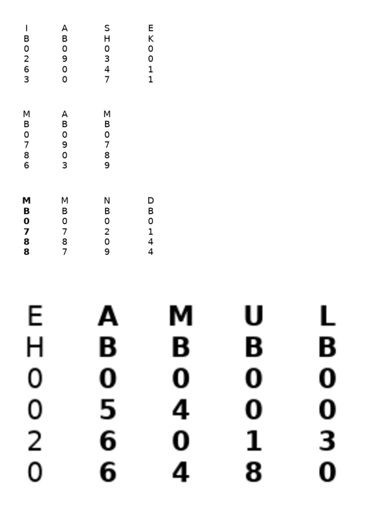 Document of Alphanumeric Codes | PDF