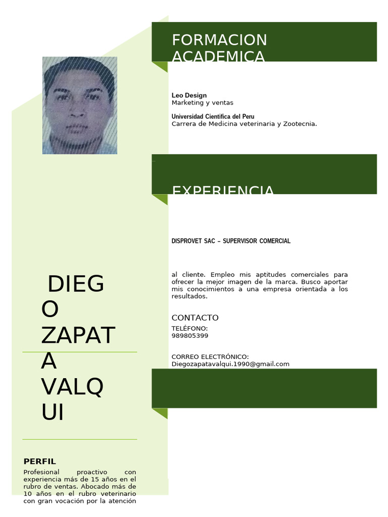 CV Diego Zapata | PDF