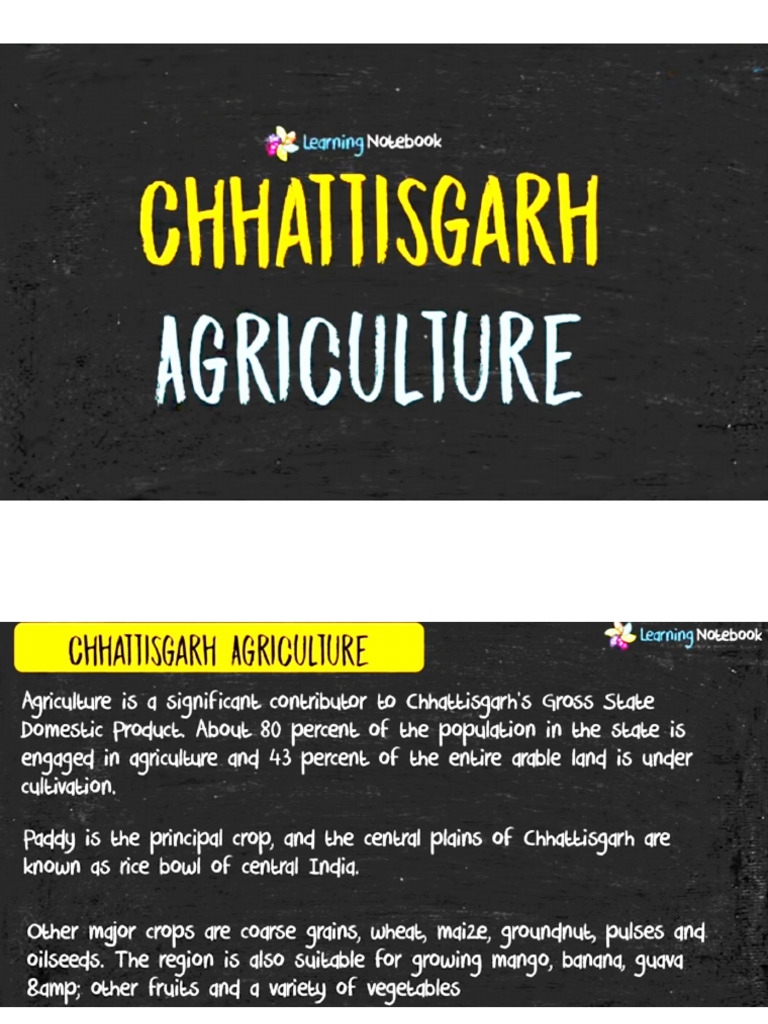Class 6 Maths Project | PDF