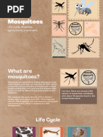 Life Cycle of Female Anopheles Mosquito | PDF | Mosquito | Fly