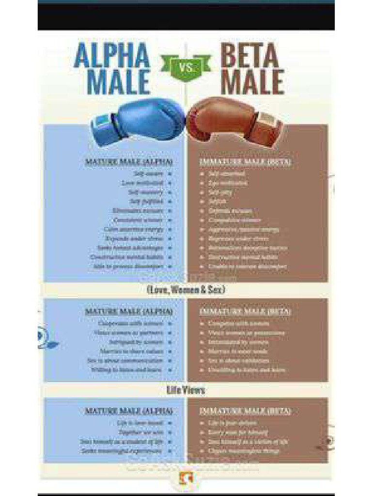 The Way of The Alpha Male - GoAskSuzie - Com | PDF