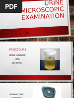 Urine Casts: Types and Reporting | PDF | Clinical Medicine | Kidney